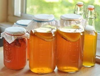 Kombucha maison: techniques et recette! - Little Green Ideas
