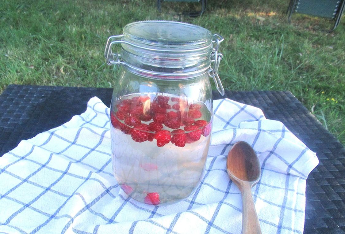 Recette de boisson fermentée à la framboise - Little Green Ideas